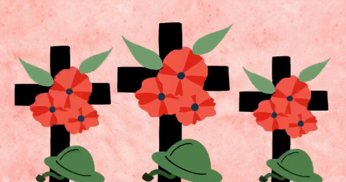 The Story of the Poppies: Remembrance - Stories For Schools